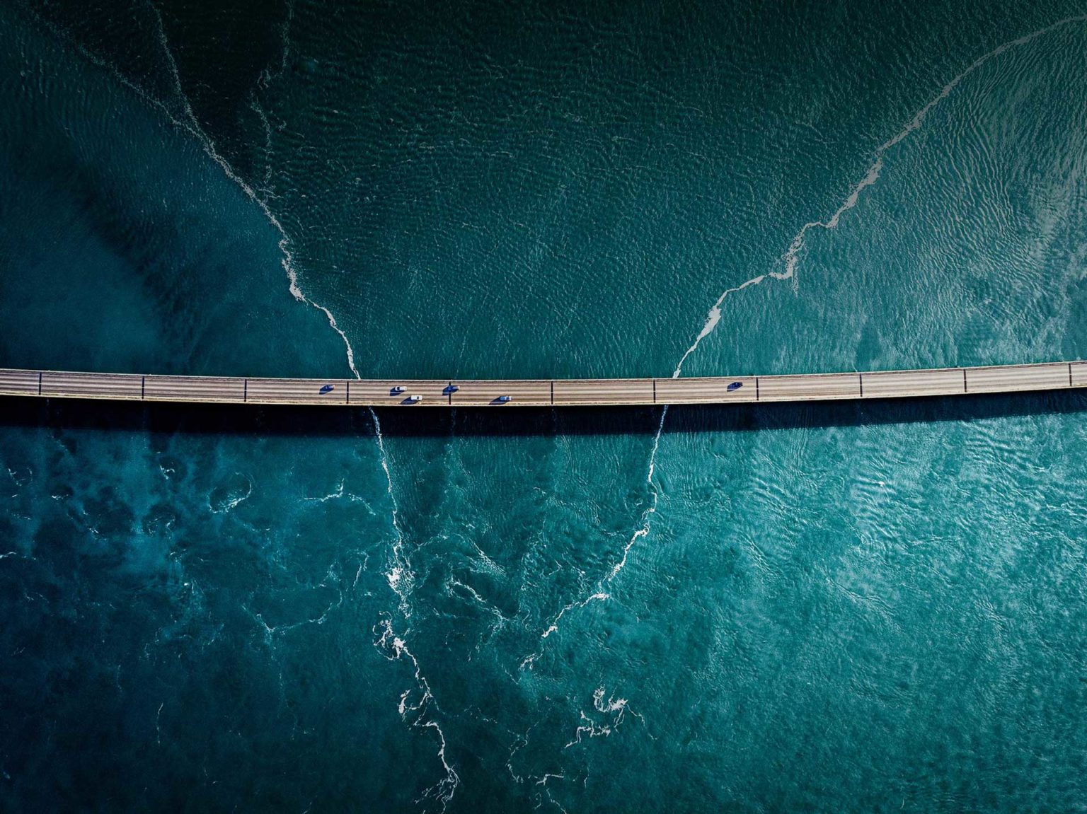 Contact Us | White Oak